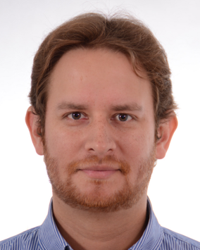 Predicting the Microstructure Stability in Photovoltaic Polymer ...